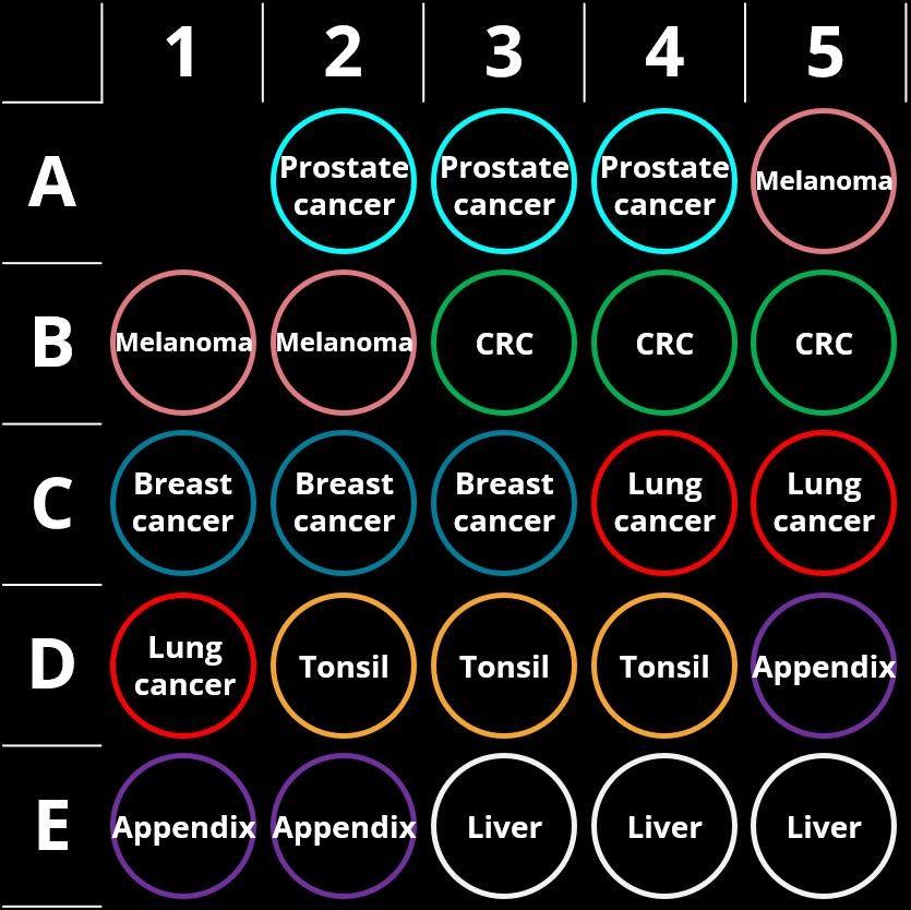 40-plex TMA Minerva Story - Lunaphore Technologies